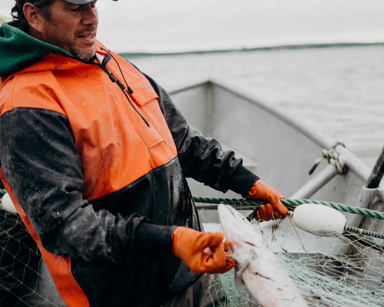 Wild Alaska Salmon Kvichak Fish Company