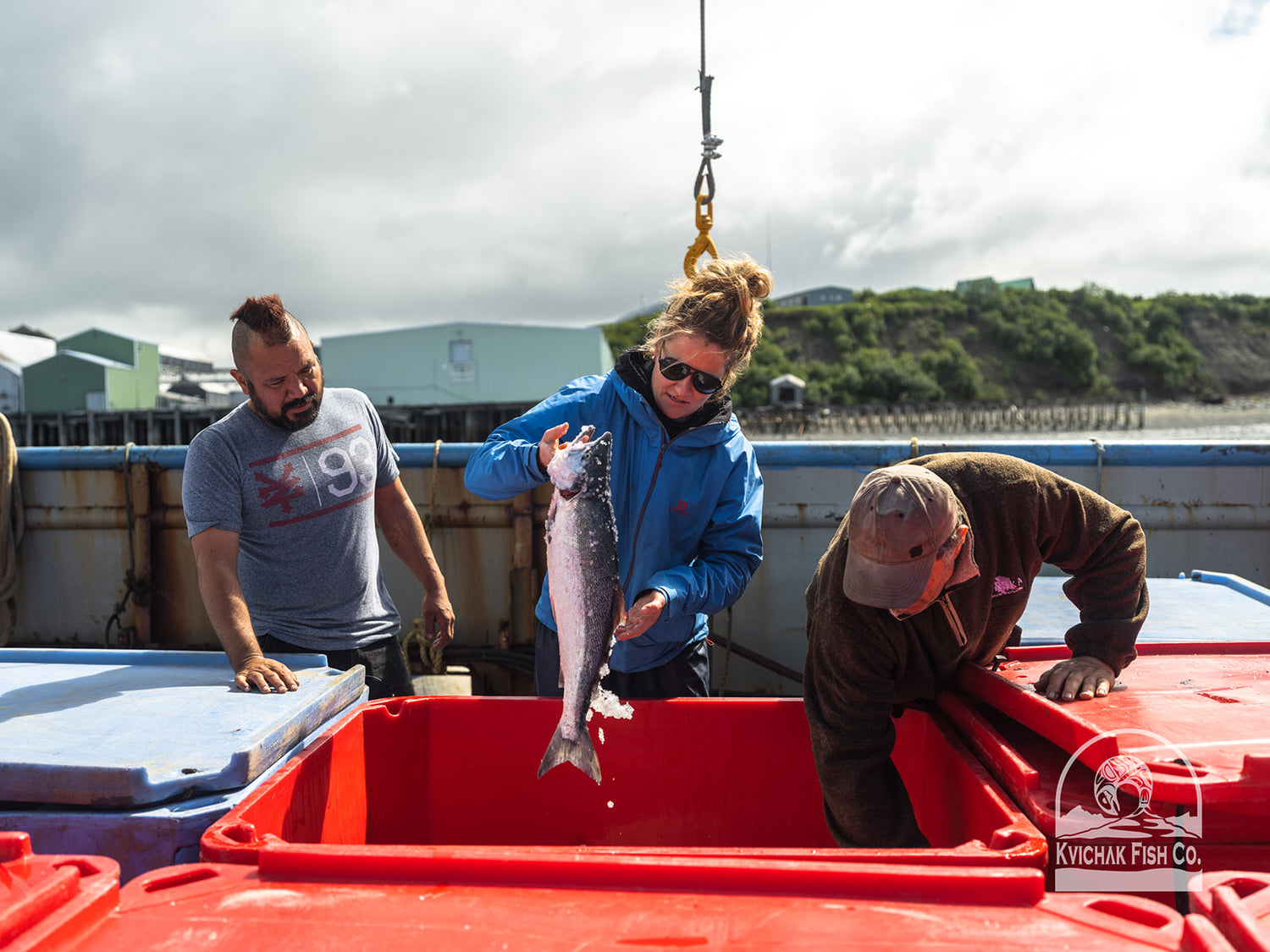 Wild Alaska Salmon Kvichak Fish Company
